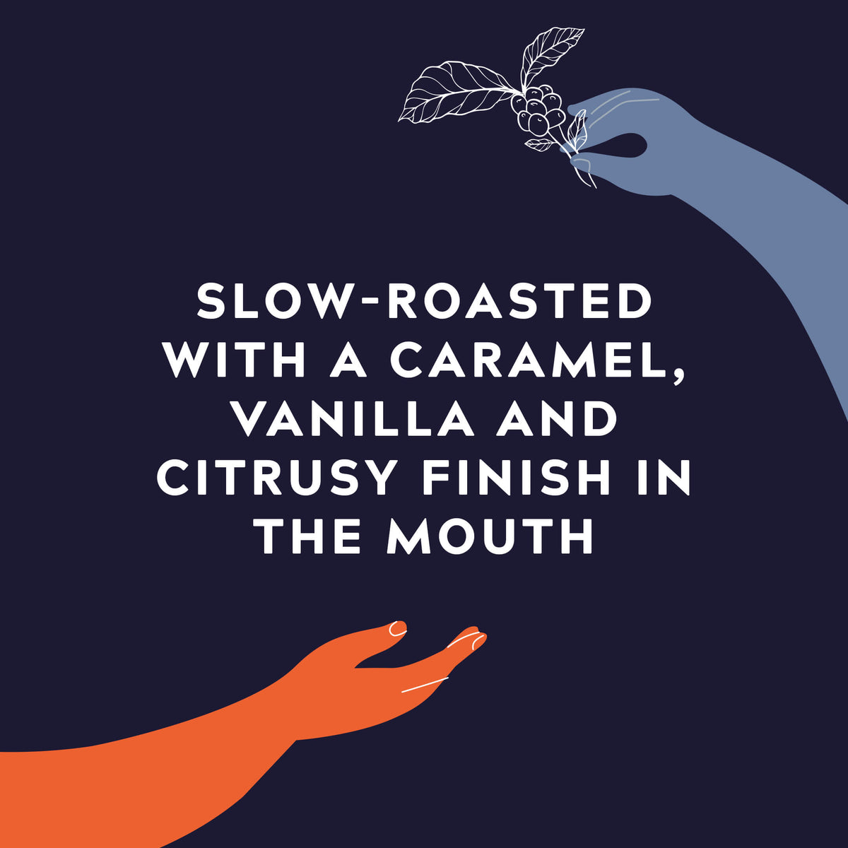 Cafédirect Familia Espresso Arabica Coffee Beans. 1kg.